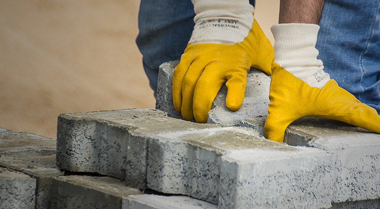 The Babel Project | Our Daily Bread Ministries Canada