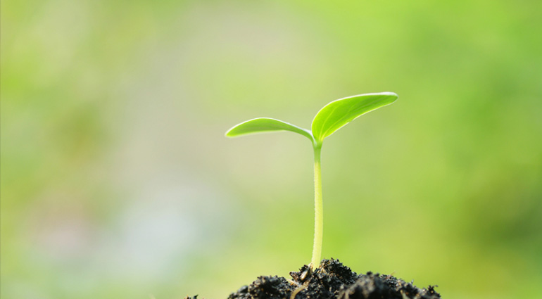 A New Creation | Our Daily Bread Ministries Canada