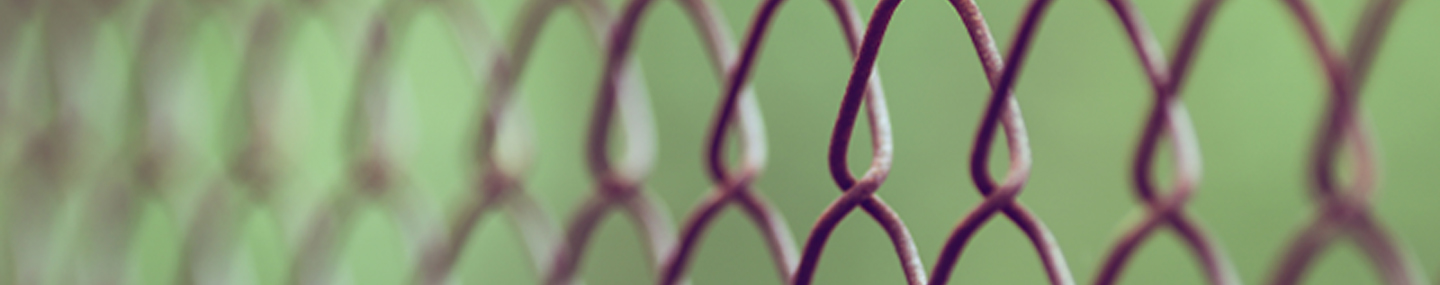 Faithful in Captivity | Our Daily Bread Ministries Canada