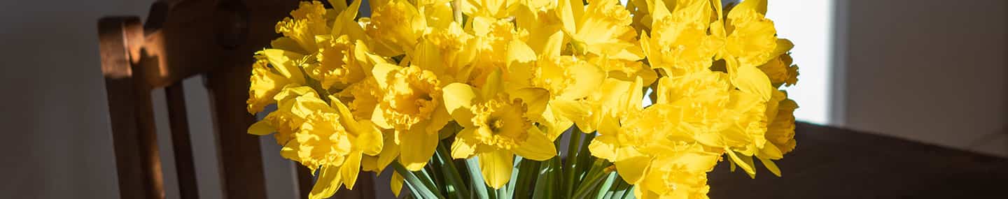 Secret Delivery | Our Daily Bread Ministries Canada