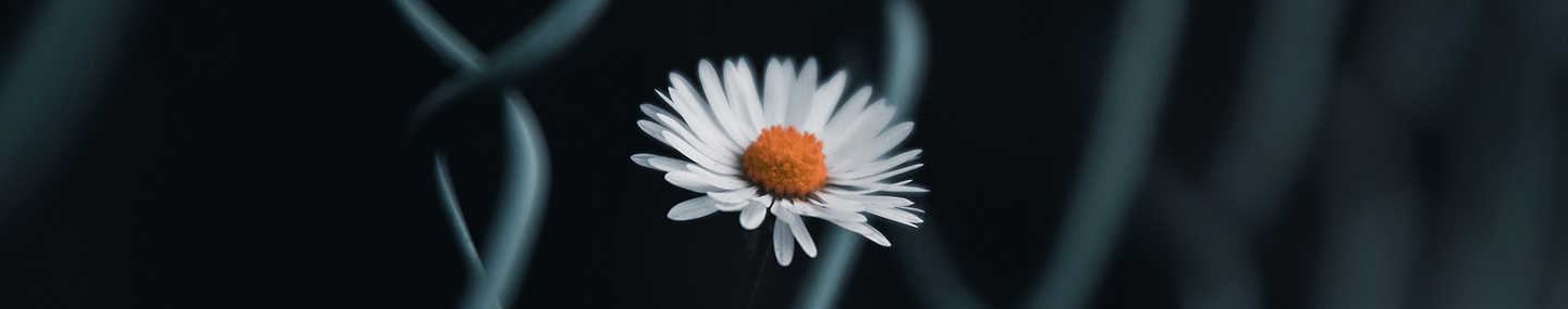 When Weakness Is Strength | Our Daily Bread Ministries Canada
