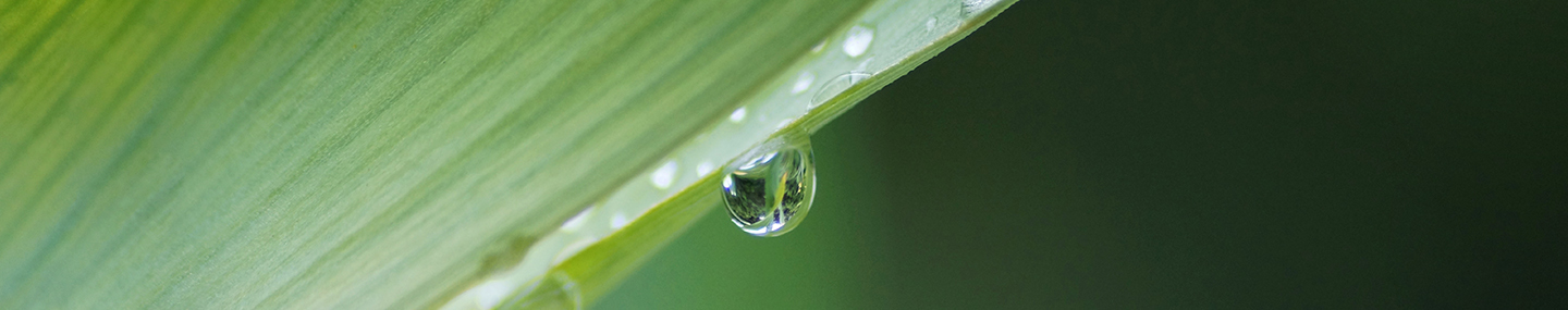 The Source | Our Daily Bread Ministries Canada