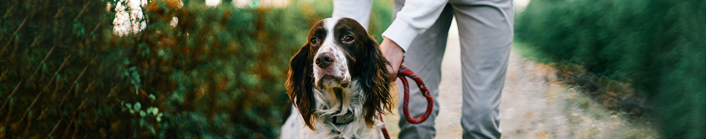 Doing Something Right | Our Daily Bread Ministries Canada