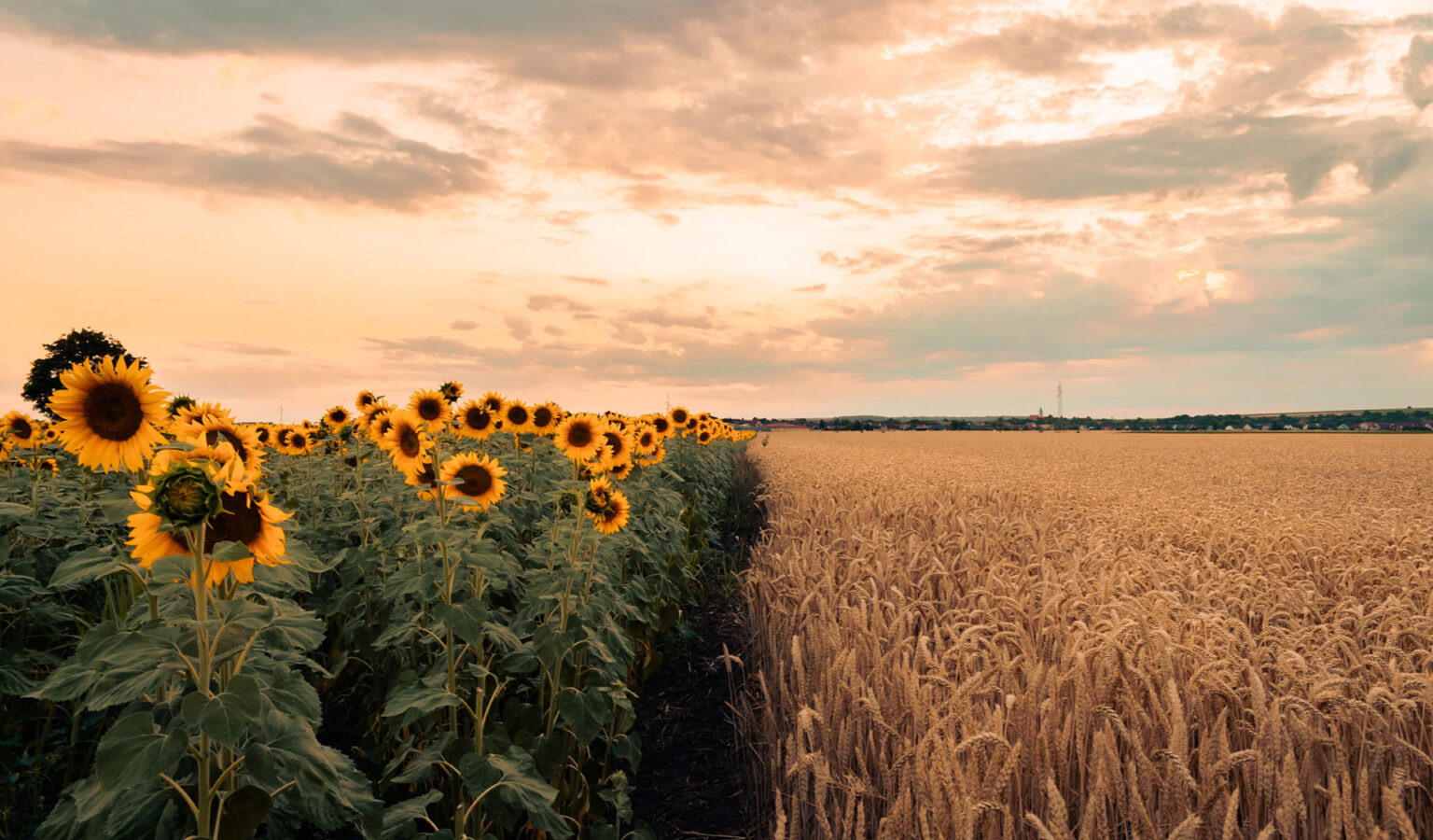 Bill Crowder | Our Daily Bread Ministries Canada