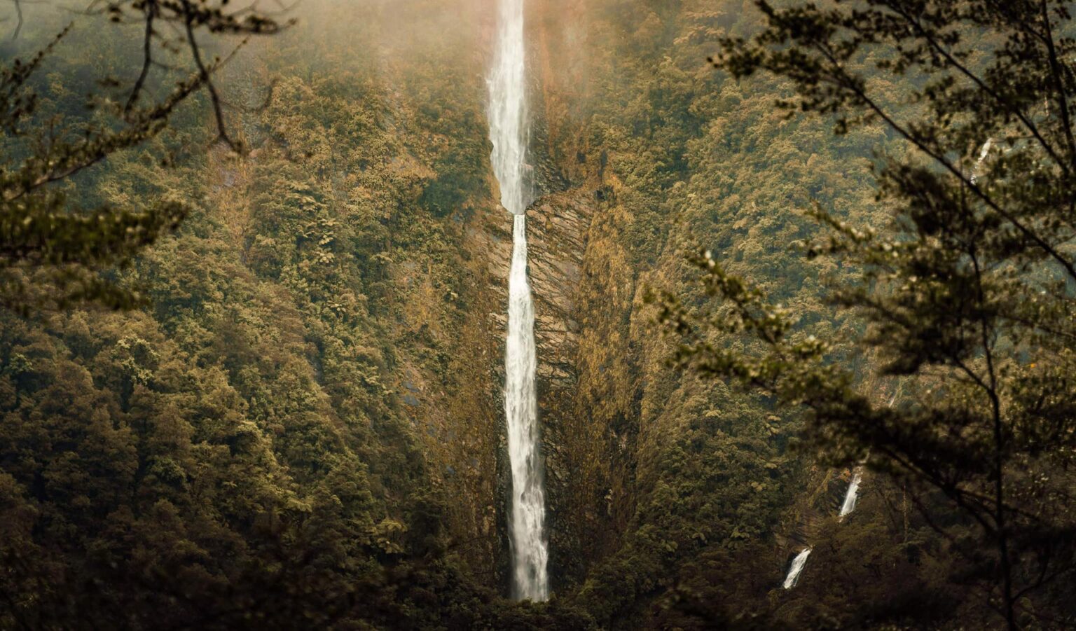 Why Did Paul Speak Strongly About The Danger Of Same Sex Intercourse Our Daily Bread