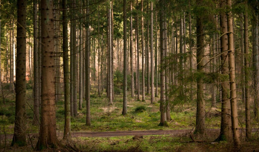 Bill Crowder | Our Daily Bread Ministries Canada