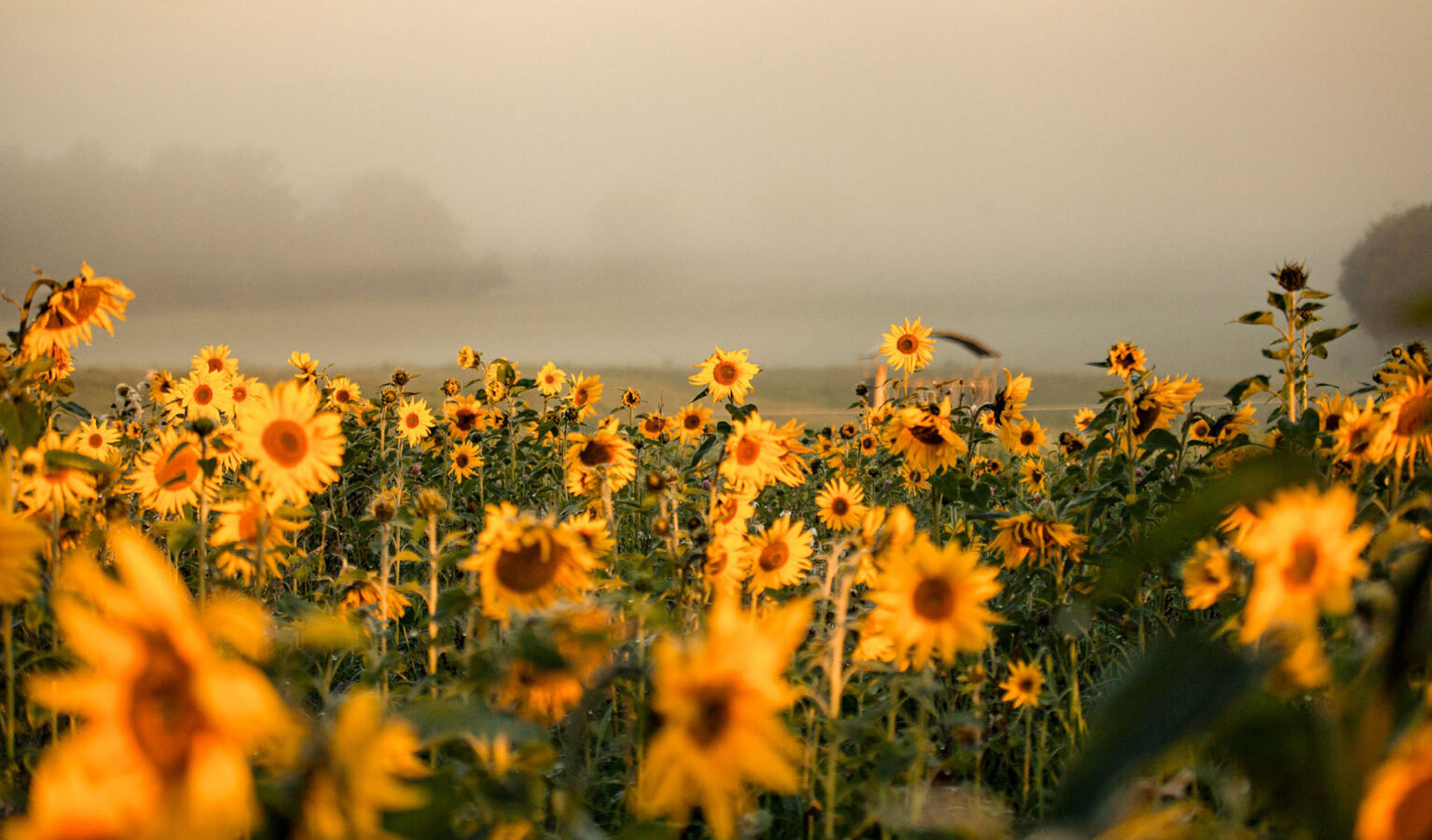 Authors Archive | Our Daily Bread Ministries Canada