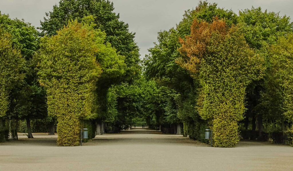 Focused on God | Our Daily Bread Ministries Canada